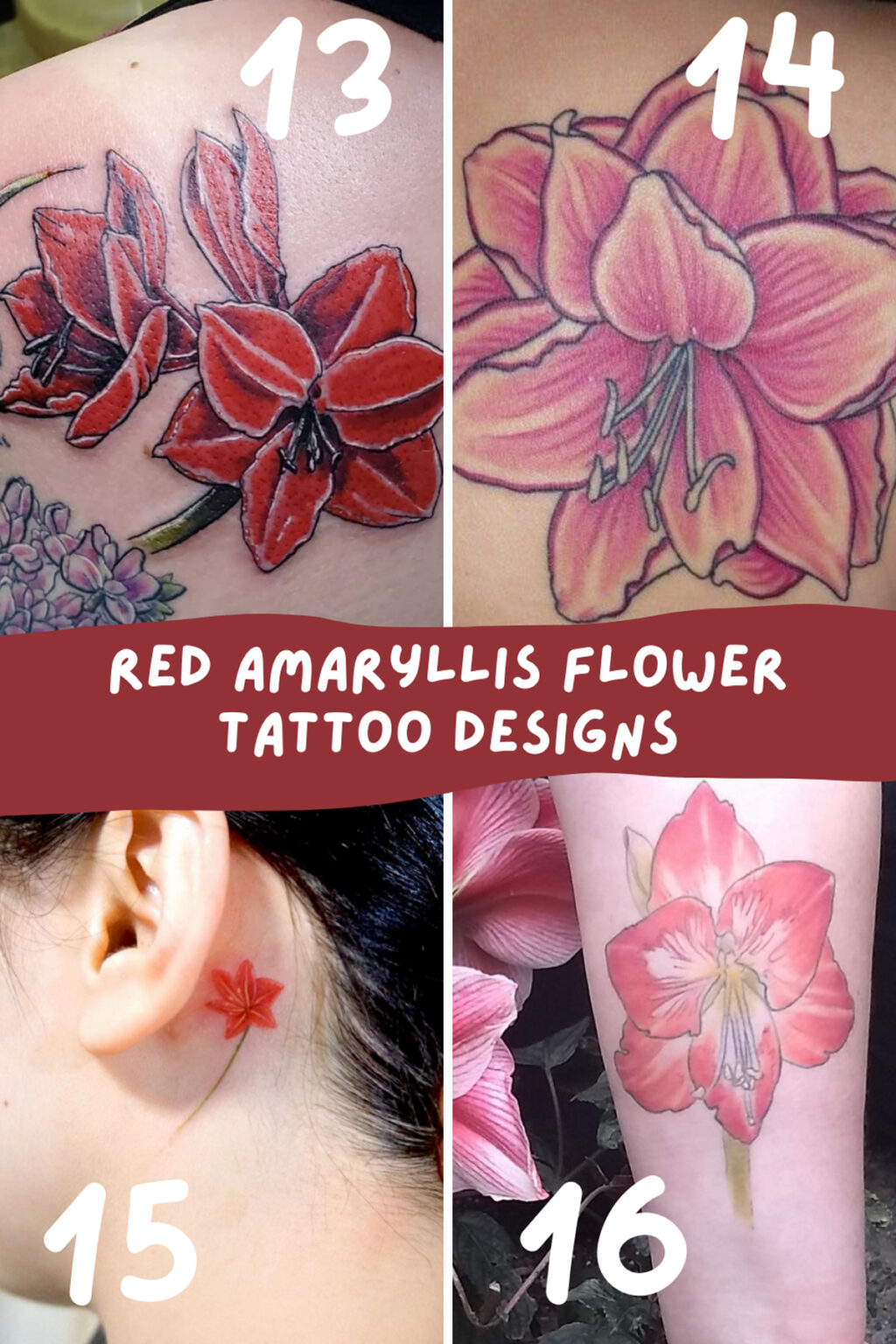 67 Stunning Amaryllis Tattoo Designs Meanings Tattoo Glee 67 Stunning Amaryllis Tattoo Designs Meanings Tattoo Glee