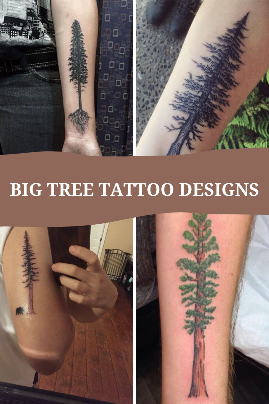 47+ Redwood Tree Tattoo Ideas (Meaning Survival + Strength) - Tattoo Glee