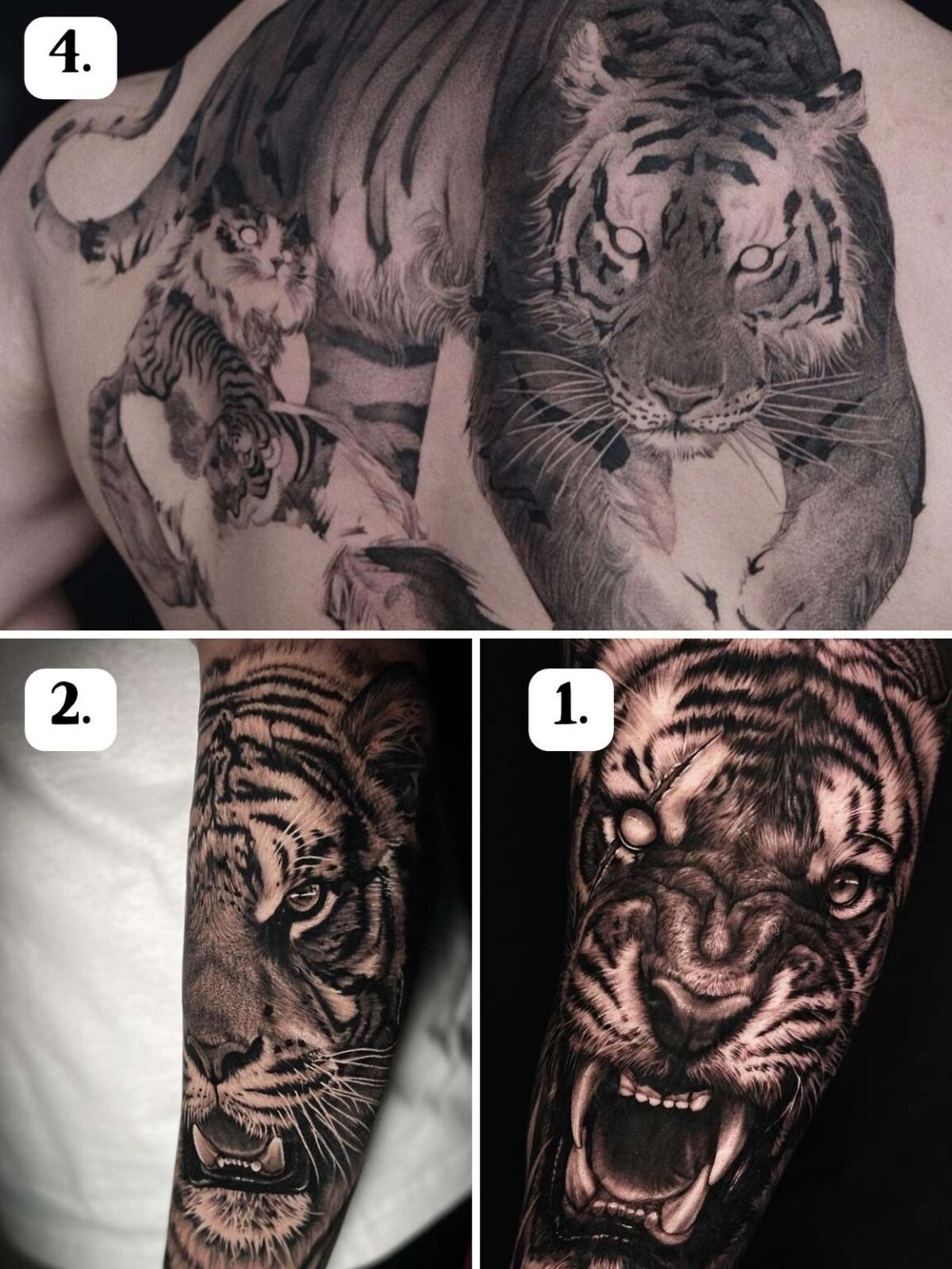 31 Powerful Tiger Tattoos That Are On Trend Tattoo Glee